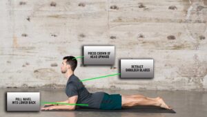 Sphinx Pose for Beginners and Men | A Step-by-Step Tutorial - Man Flow Yoga